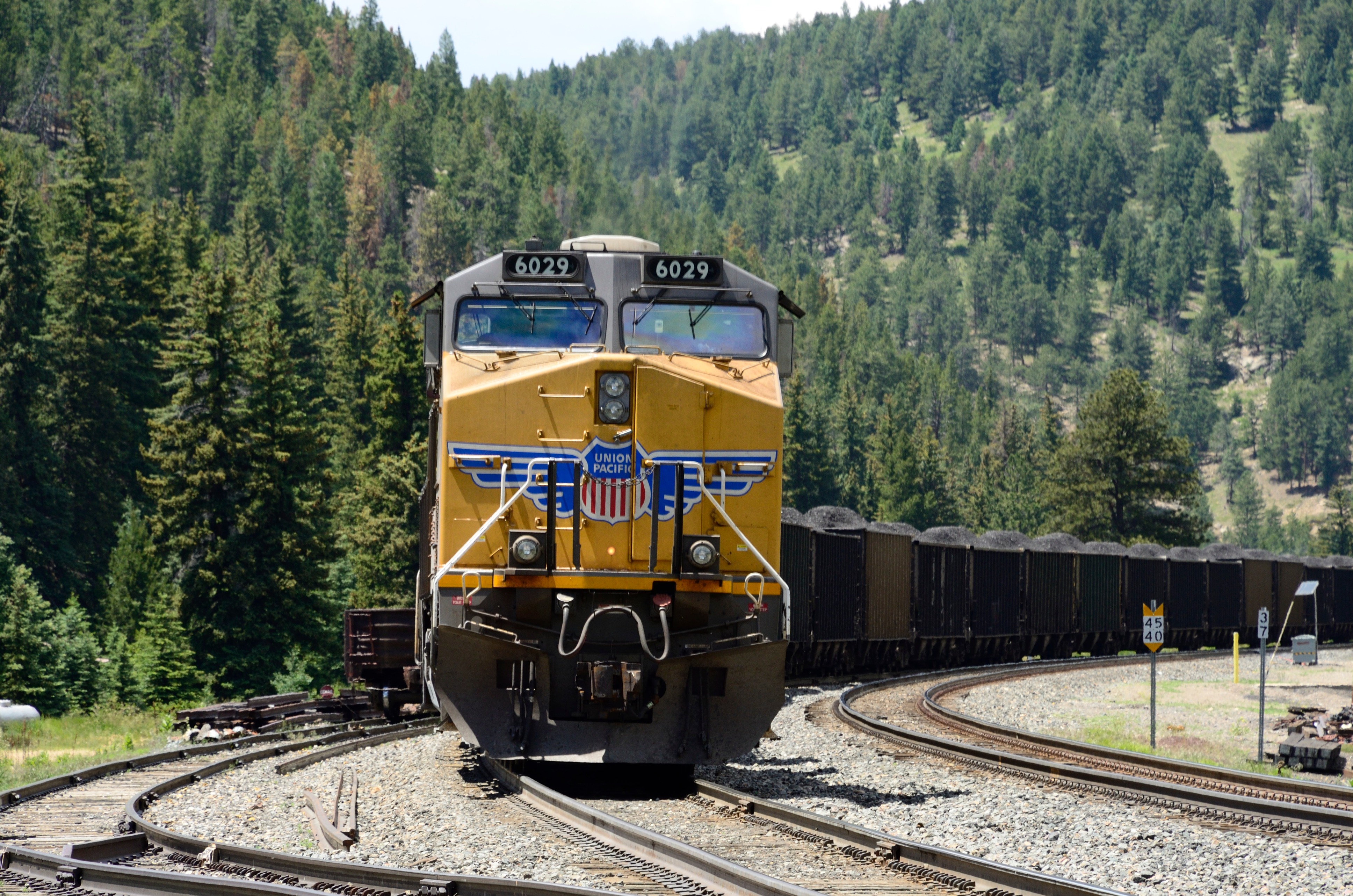 CO 986 UP Coal Train in Pinecliff _0446_D7K4741.jpg — Colorado Department of Transportation